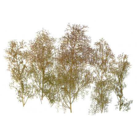 Pack de árboles Naturales - NOCH - 23100 - ESCALA HO / TT / N.